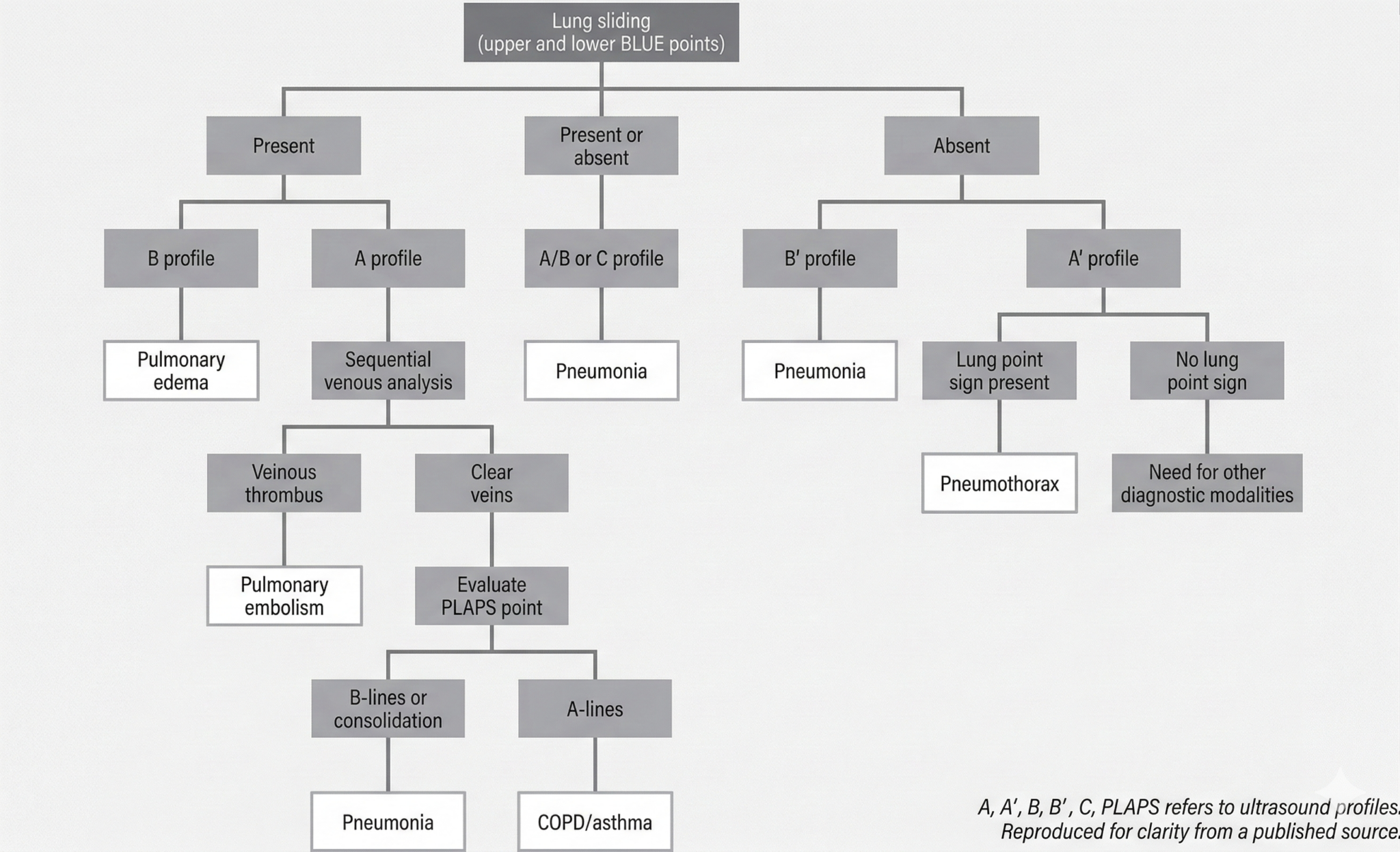 Thoracic POCUS in Acute Respiratory Failure: BLUE Protocol and Lung ...